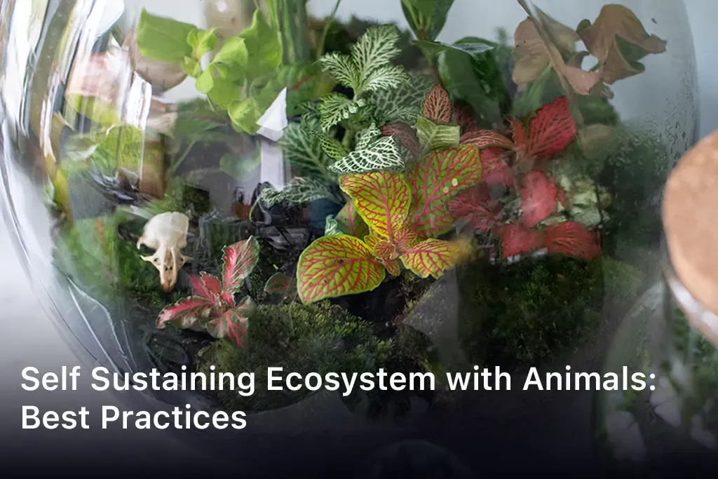 Self Sustaining Ecosystem with Animals: Best Practices