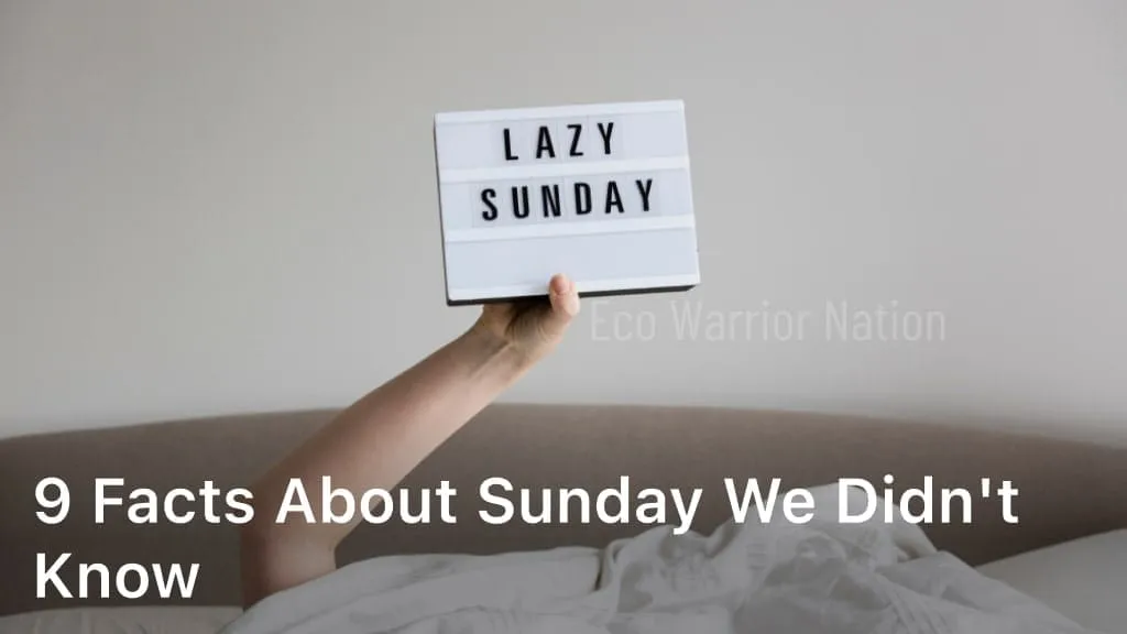 9 Facts about Sunday We Didn't Know